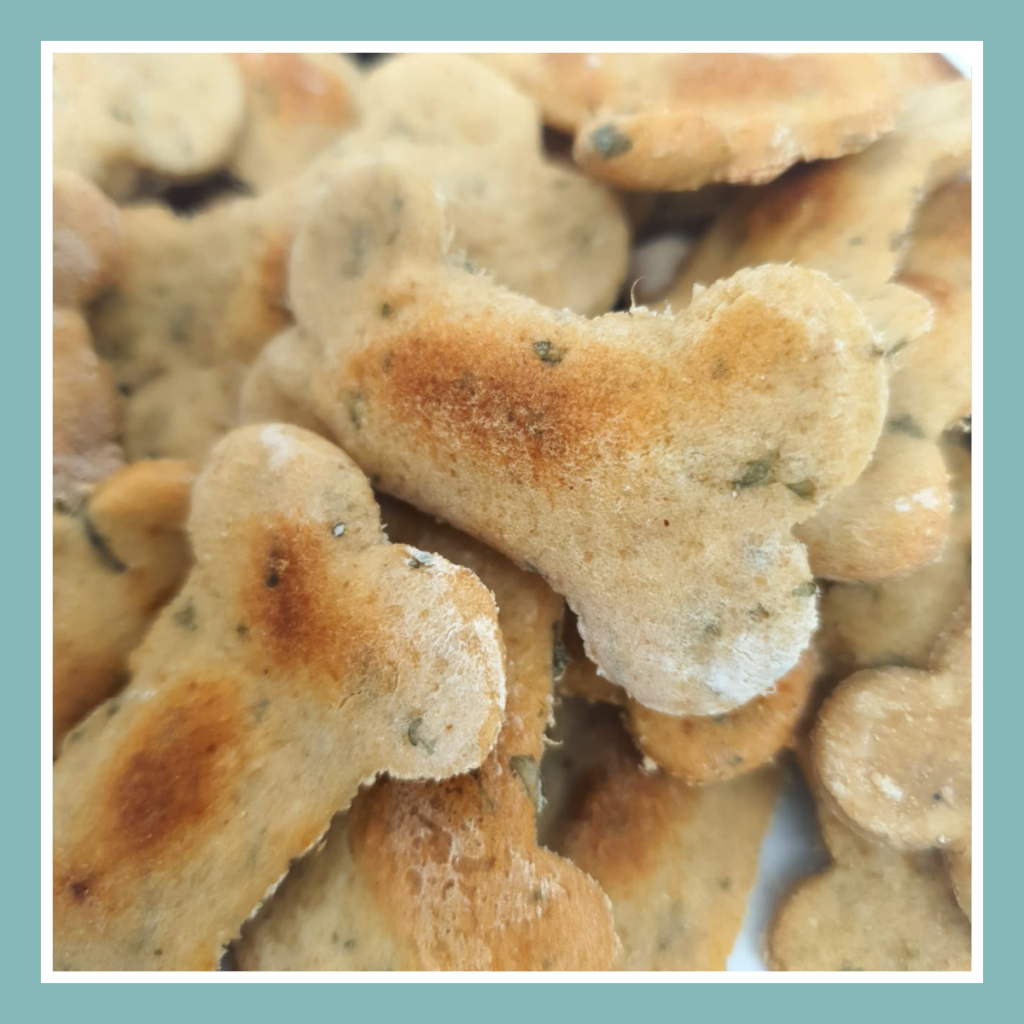 Snacks de Pollo y Perejil